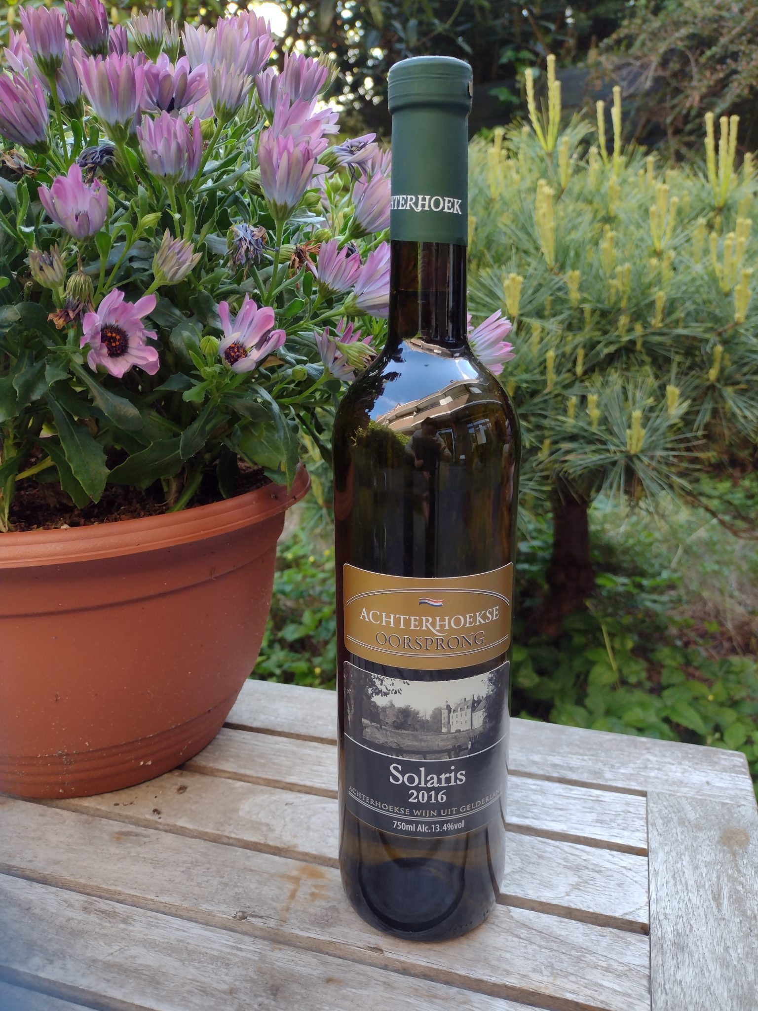 Achterhoekse Oorsprong Solaris 2016 - GoDutch! Wine